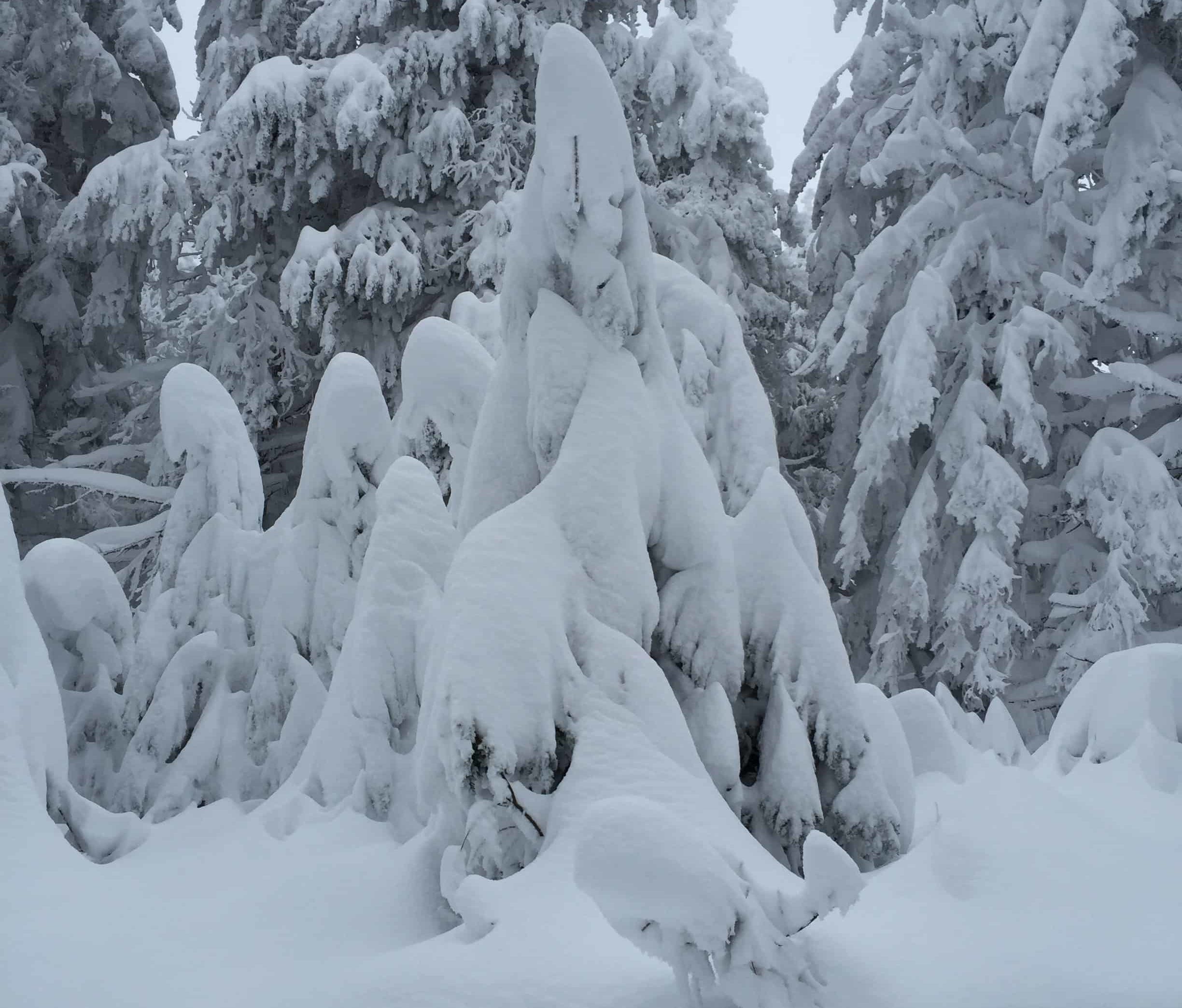 Sleigh Rides on Frozen Water - Lake Escapes Boat Rentals